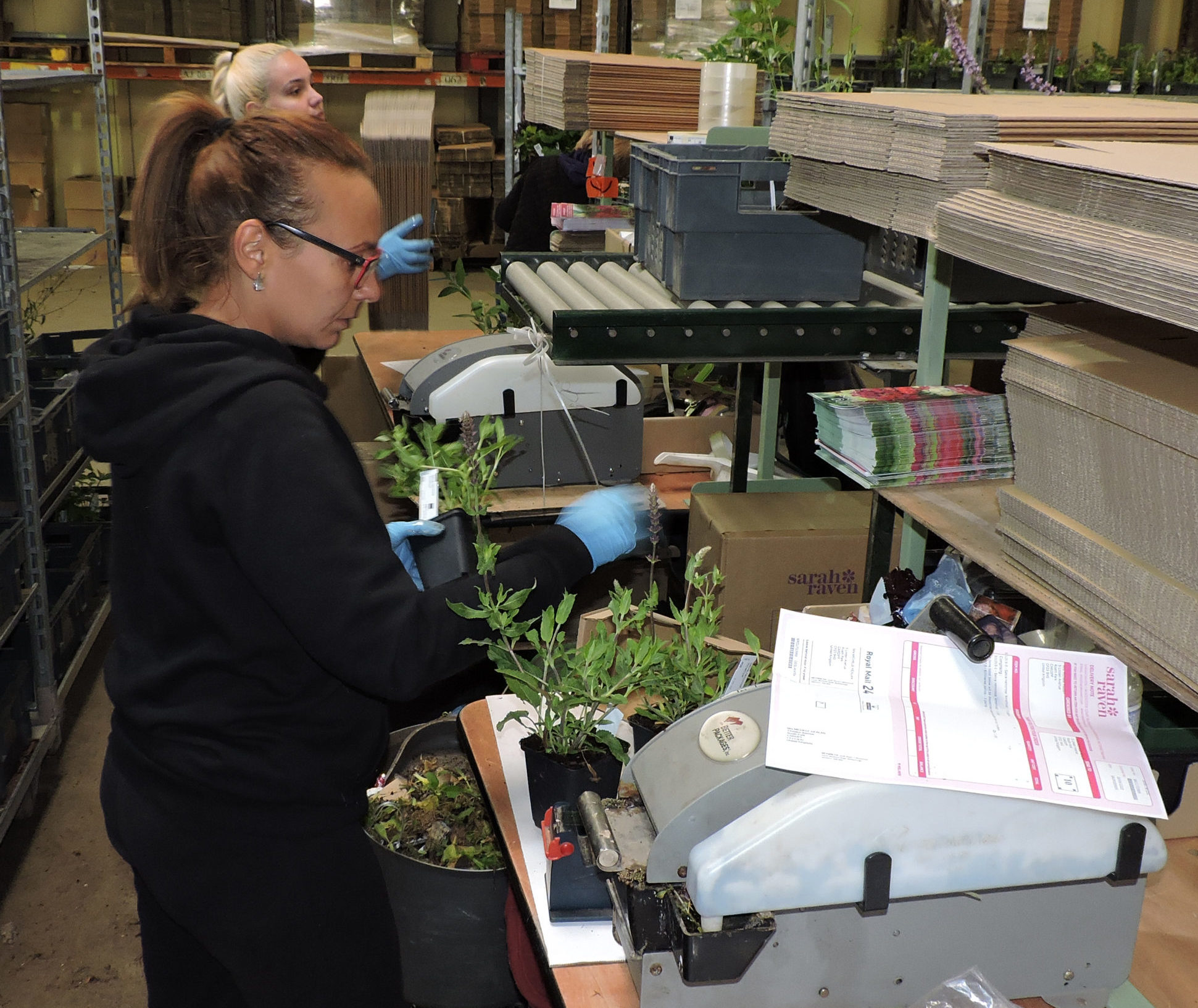 A sustainable corrugated horticultural E-commerce box | Fencor Packaging